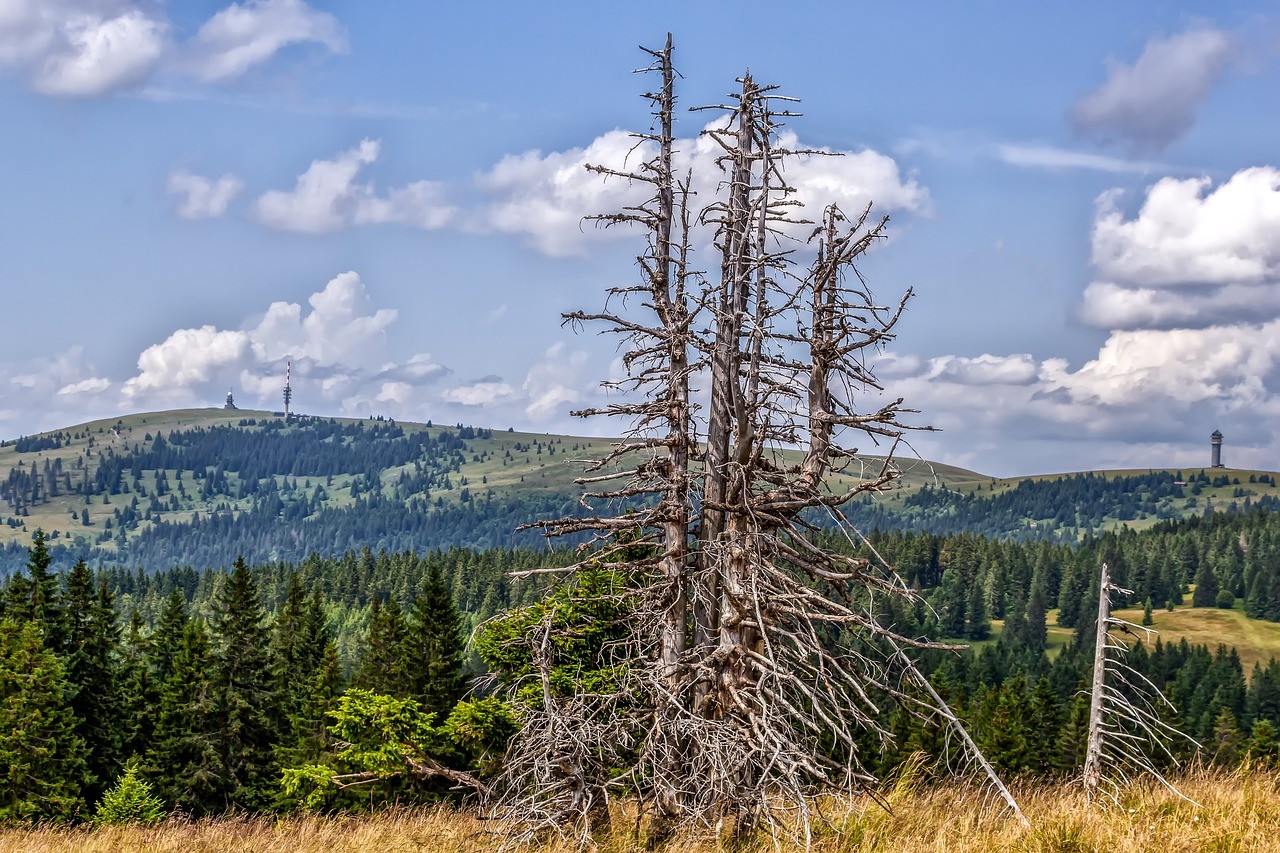 Die höchsten Berge in Baden-Württemberg